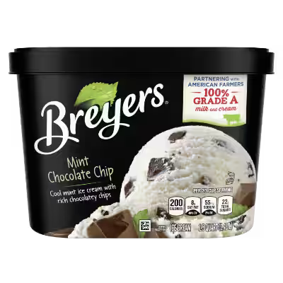 Breyer's, Mint Chocolate Chip Ice Cream, 48 oz. Tub (1 Count ...