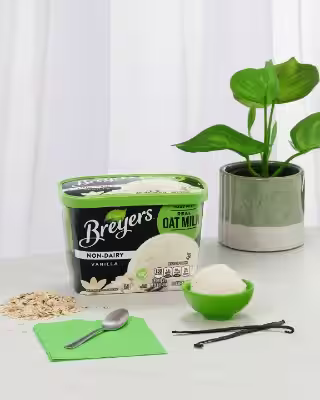 Breyer's, Non-Dairy Vanilla Ice Cream, 48 oz. Tub (1 Count ...