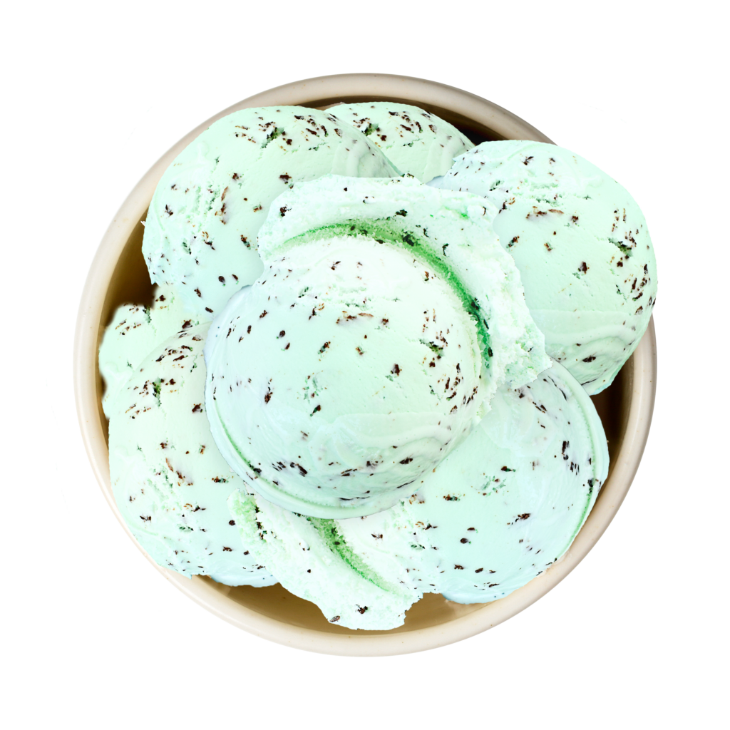 Funny Farm Goat Milk Ice Cream, Mint Chocolate Chip (Pint) – icecreamsource