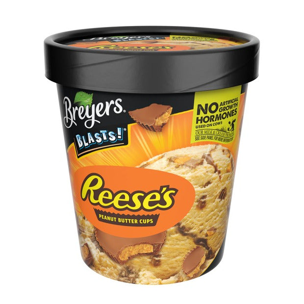 Breyer's REESE'S® Peanut Butter Cups (Pint) – icecreamsource
