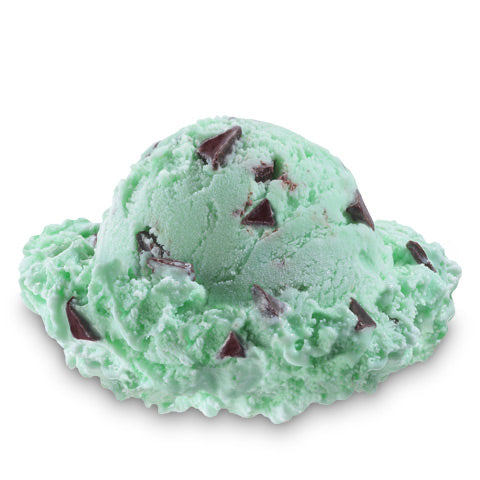 Cedar Crest Mint Chocolate Chip (Pint) – icecreamsource