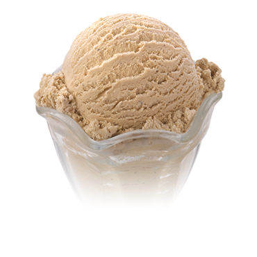Oberweis Coffee Ice Cream (Pint) – icecreamsource
